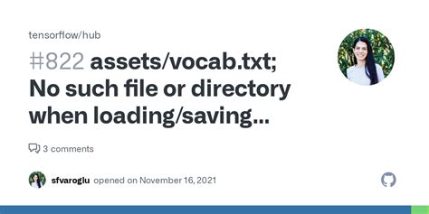 Assetsvocabtxt No Such File Or Directory When Loadingsaving Bert Encoder Models · Issue 822