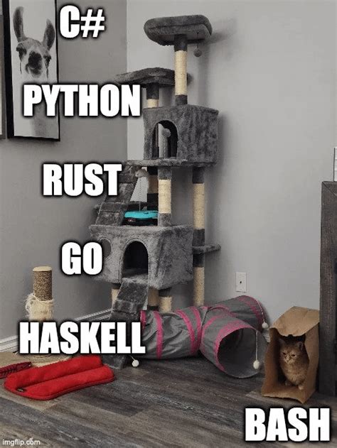 Bash Scripting On Your Linux Or Unix Be Like Rlinuxboss