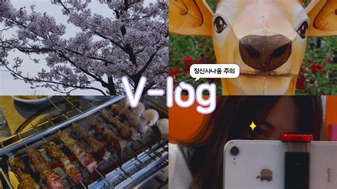 V Log Youtube