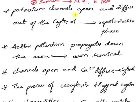 Solved Connection Between Two Neurons Or Any Two Electrically Active