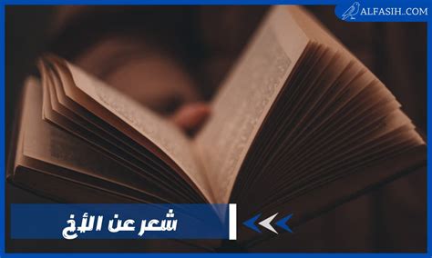 شعر عن الأخ وأجمل قصائد عن الأخوة والسند موقع الفصيح
