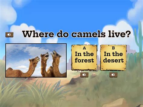 Camel Quiz