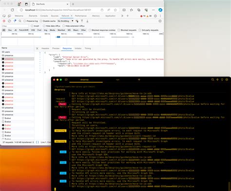 Memeriksa Permintaan Dan Respons Menggunakan Chrome Devtools Dev Proxy Microsoft Learn