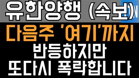 유한양행 주가전망 긴급 다음주 여기까지 반등하지만 또다시 폭락합니다 Youtube