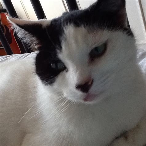 Oscair Brady Youtube