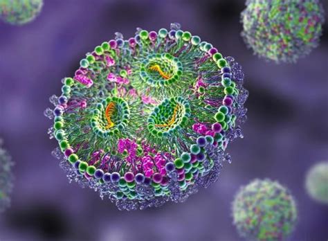 How MRNA Lipid Nanoparticles Could Revolutionize Cancer Treatment IAqaba