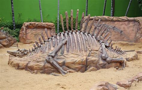 Fossile Di Dinosauro Della Replica Sulla Terra Della Sabbia Fotografia