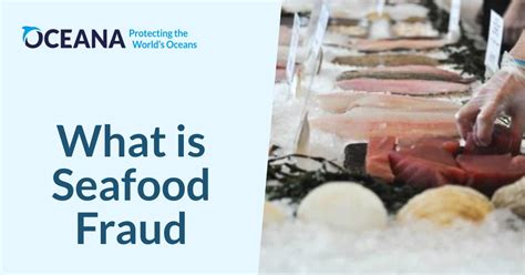 What Is Seafood Fraud Oceana