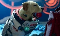 Marvel s Guardians of the Galaxy découvrez une cinématique amusante avec Cosmo le chien