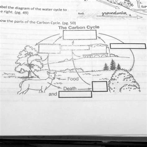 SOLVED Label This Diagram Please Label The Diagram Of The Water Cycle