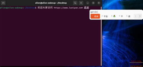Ubuntu安装中文输入法