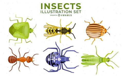 Insects Illustration Set Vector Download