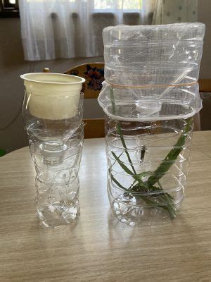 簡単工作ペットボトルで虫かご作り6歳年長男児が考案 あんふぁんWeb