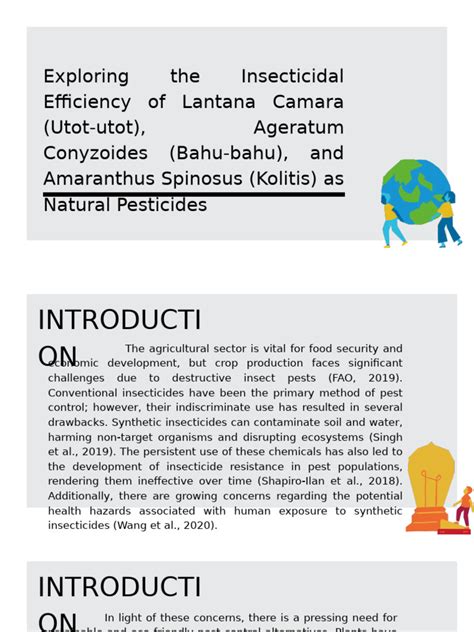 Research Proposal Pdf Insecticide Pest Control