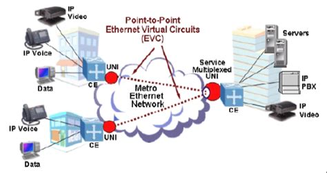 Ccnp Jncis En EspaÑol Notas Ccie Written Hdlc Ppp Pppoe Y Ethernet