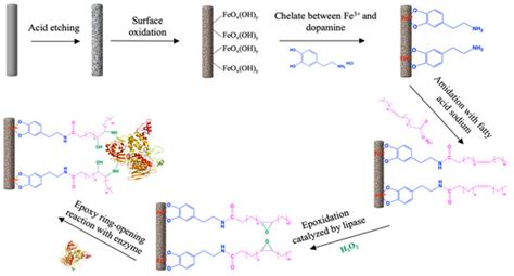 Catalysts Free Full Text Enzyme Immobilization On Stainless Steel