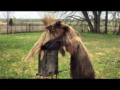Пчеловодство с нуля. Часть четвёртая. - YouTube