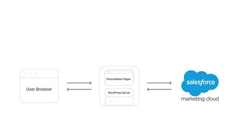 Personalization With Wordpress Vip For Salesforce