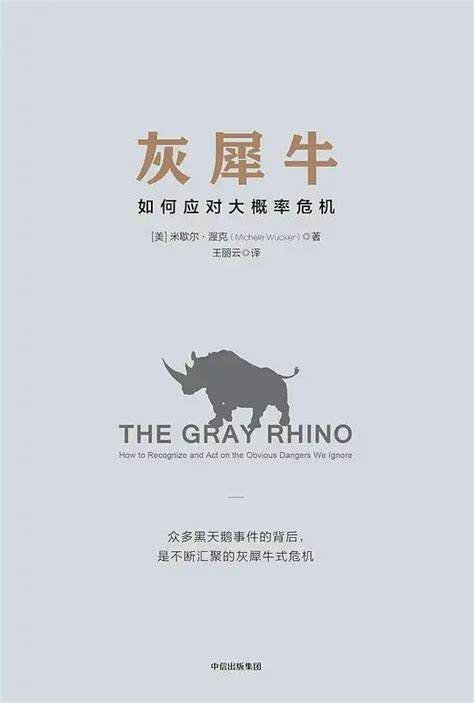 书籍推荐，米歇尔·渥克继的《灰犀牛 如何应对大概率危机》 哔哩哔哩