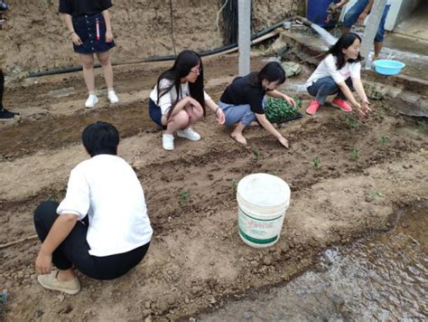 烟大学子三下乡：看大棚种植让农民四季丰收 搜狐大视野 搜狐新闻
