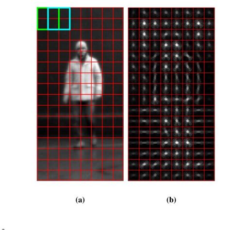 Fixed And Adaptive Projection Methods A Projection Of The Same Download Scientific Diagram