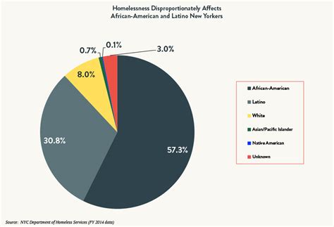Racepiechart Coalition For The Homeless