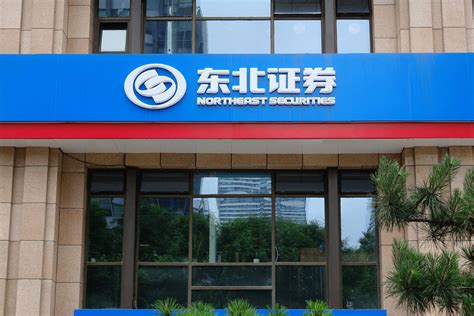 祸起“豫金刚石定增案”，东北证券被罚没逾750万元，5名保代被罚证监会保荐非公开发行