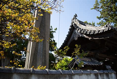 浄念寺 有田市観光協会