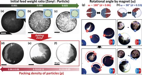 Control Of Packing Density And Inhomogeneity Of Particle Distribution Download Scientific