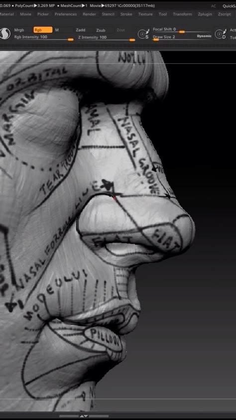 Pin by Ka Lista on Афродита Human anatomy drawing Anatomy for