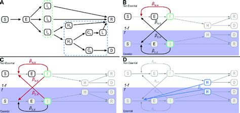 Diagram Of The Seir Model With Extensions A An Illustration Of The
