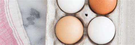 ¿hay Alimentos Prohibidos Para El Colesterol Elevado Flora Proactiv