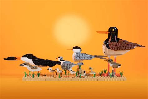 Can We Please Get These Made Amazing Rbirding