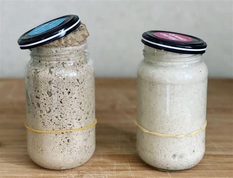 2 How To Keep Your Starter Alive And Happy Proof Perfected
