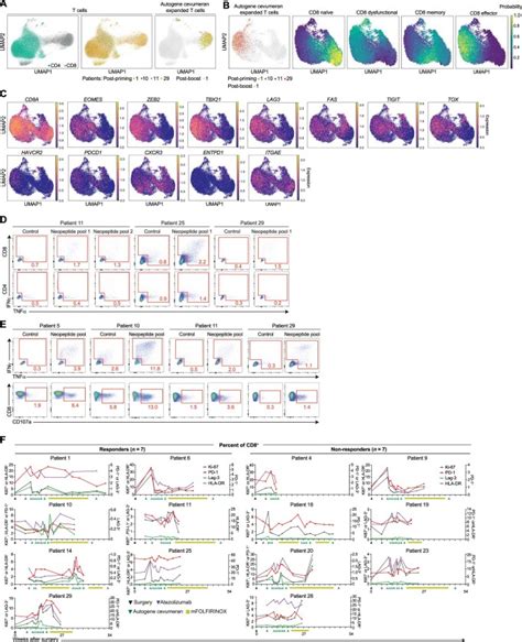 Personalized Rna Neoantigen Vaccines Stimulate T Cells In Pancreatic Cancer Pubmed