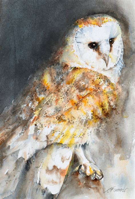 Birdscapes — Sylvia Farrow Watercolours