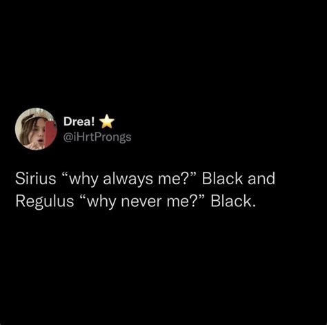 Regulus And Sirius Black The Marauders Harry Potter Marauders Black
