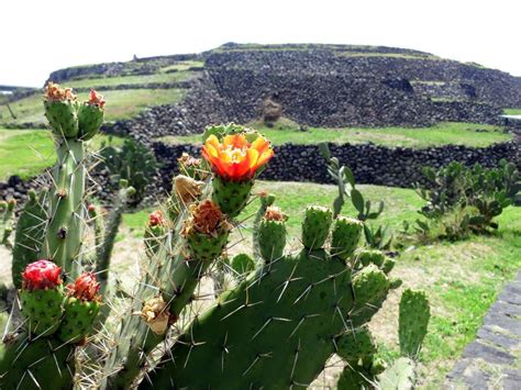Inah Reapertura Zonas Arqueologicas