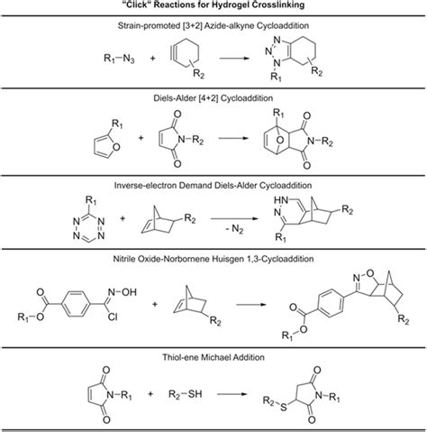 Examples Of “click” Reactions Used For Hydrogel Crosslinking “click” Download Scientific