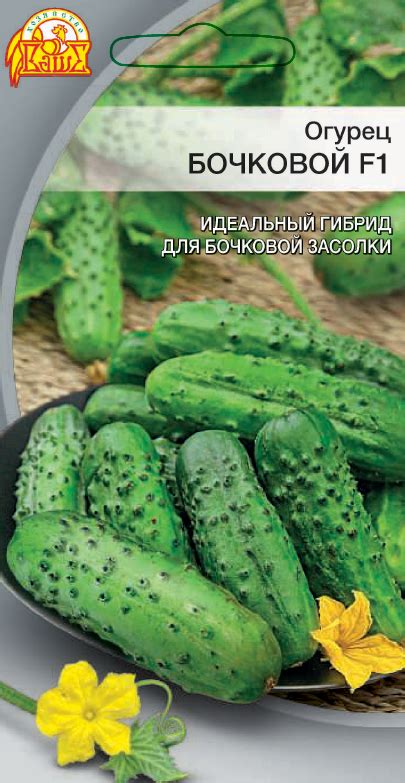 Огурец Бочковой F1 0,25 гр цв. п. купить семена по каталогу почтой ...