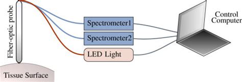 Schematic Diagram Of Polarization Gating Probe And System Download Scientific Diagram