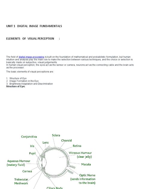 Unit 1 Digital Image Pdf Rgb Color Model Eye