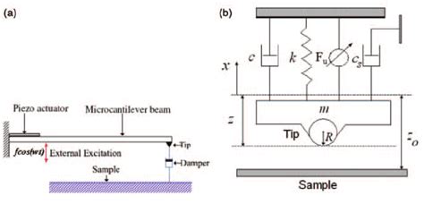 Microcantilever Physical Model And Schematic Diagram A Download