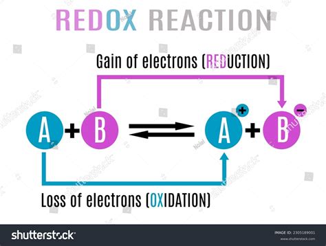 5 Hundred Oxidation Reduction Reactions Royalty Free Images Stock
