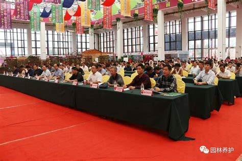 【动态】第五届中国·沭阳花木节苗木种植及养护技术讲座召开