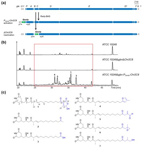 The Genomic Driven Discovery Of Glutarimide Containing Derivatives From Burkholderia Gladioli Pmc