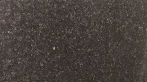 Copper Black Granite Available In Uk Black Brown Granite
