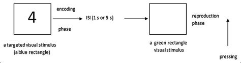 The Task Design The Encoding Phase Is Defined From The Start Of A