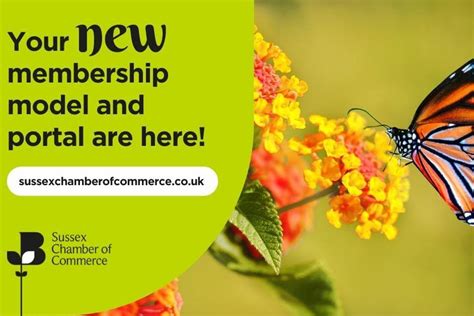 Sussex Chamber Of Commerce Launches New Membership Platform To