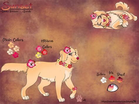 Sunset Reference Sheet By Stephy09 On Deviantart